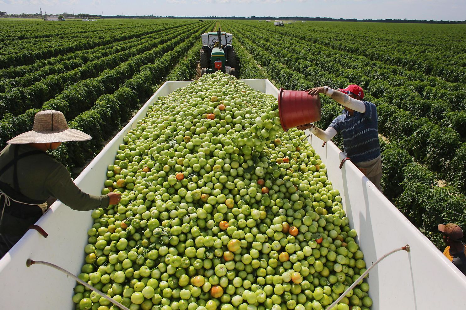 Food Chains: The Real Story of America’s Food – OWU Nutrition: Food ...