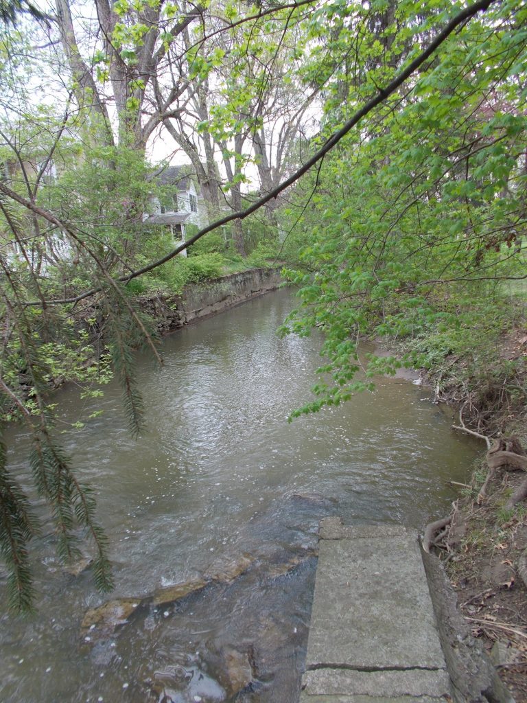 Delaware Run Restoration | Delaware, Ohio