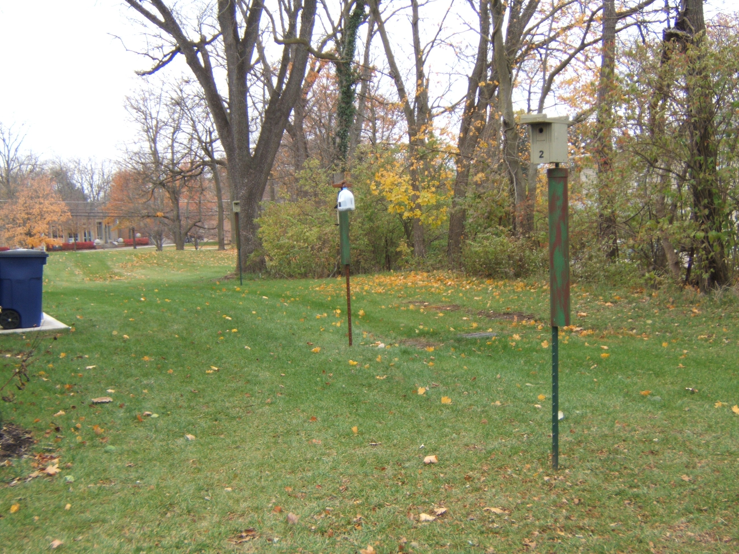 New Campus Bird Feeders @ Treehouse SLU – Sustainability & Environment ...