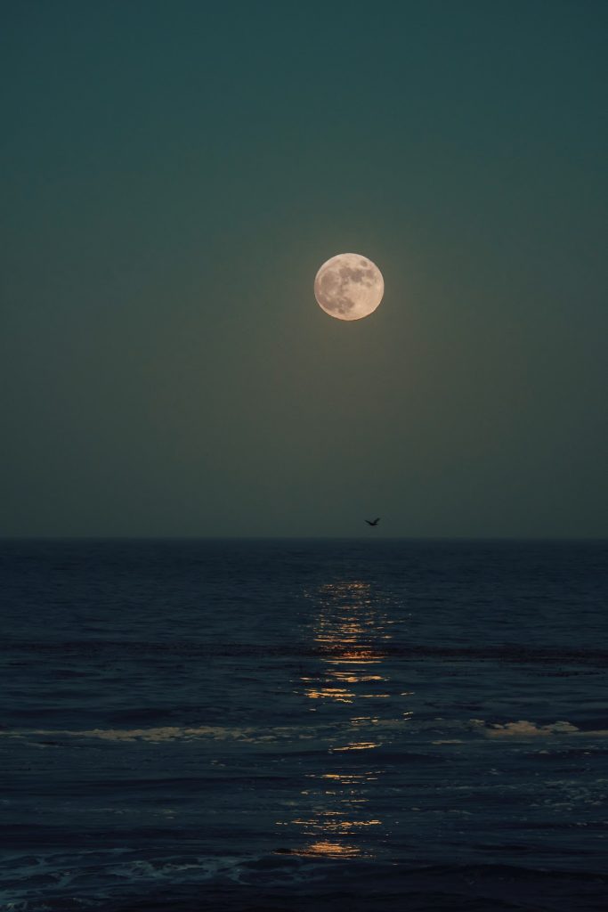 The Awakening – Tropology: The ENG 250 Blog